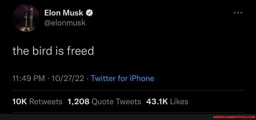Elon Musk the bird is freed PM Twitter for iPhone - America’s best pics ...