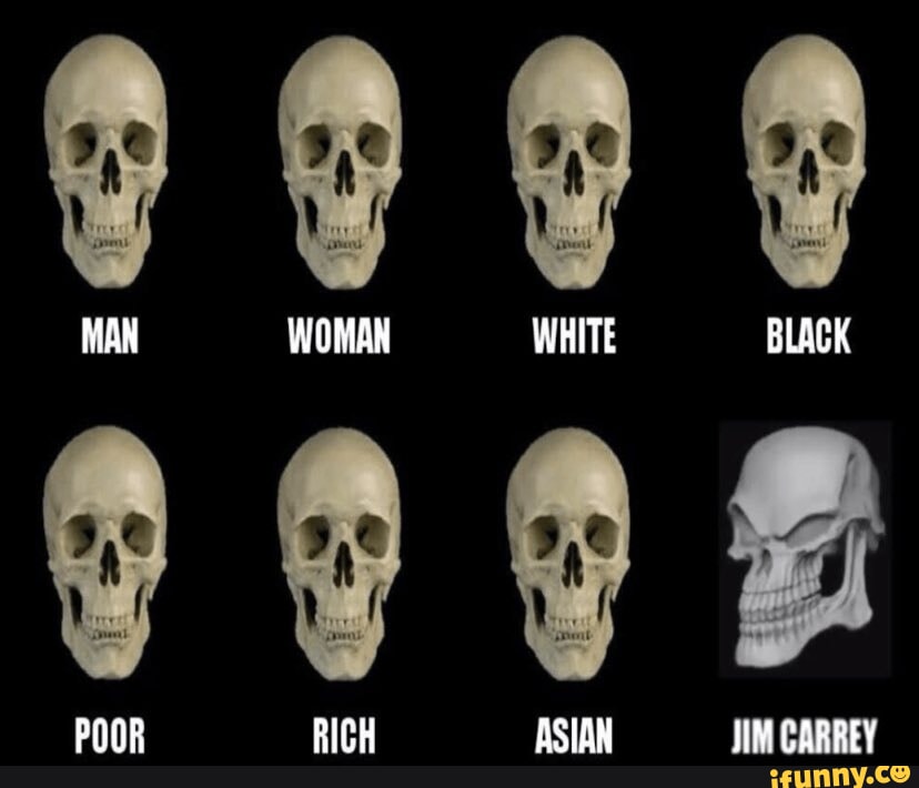 Anatomy memes. Best Collection of funny Anatomy pictures on iFunny