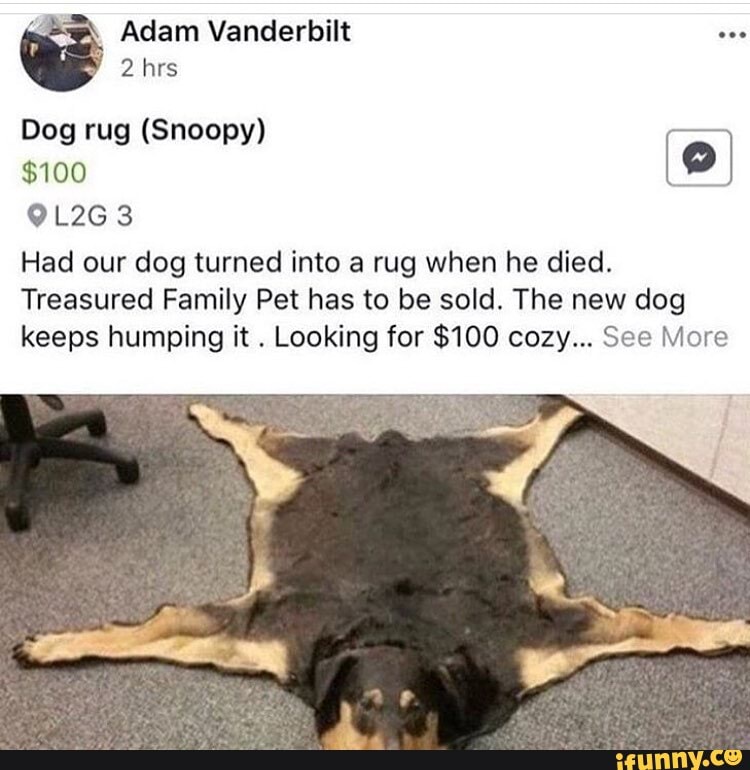 Adam Vanderbilt 2 hrs Dog rug (Snoopy) $100 I 9L2G 3 Had our dog turned ...
