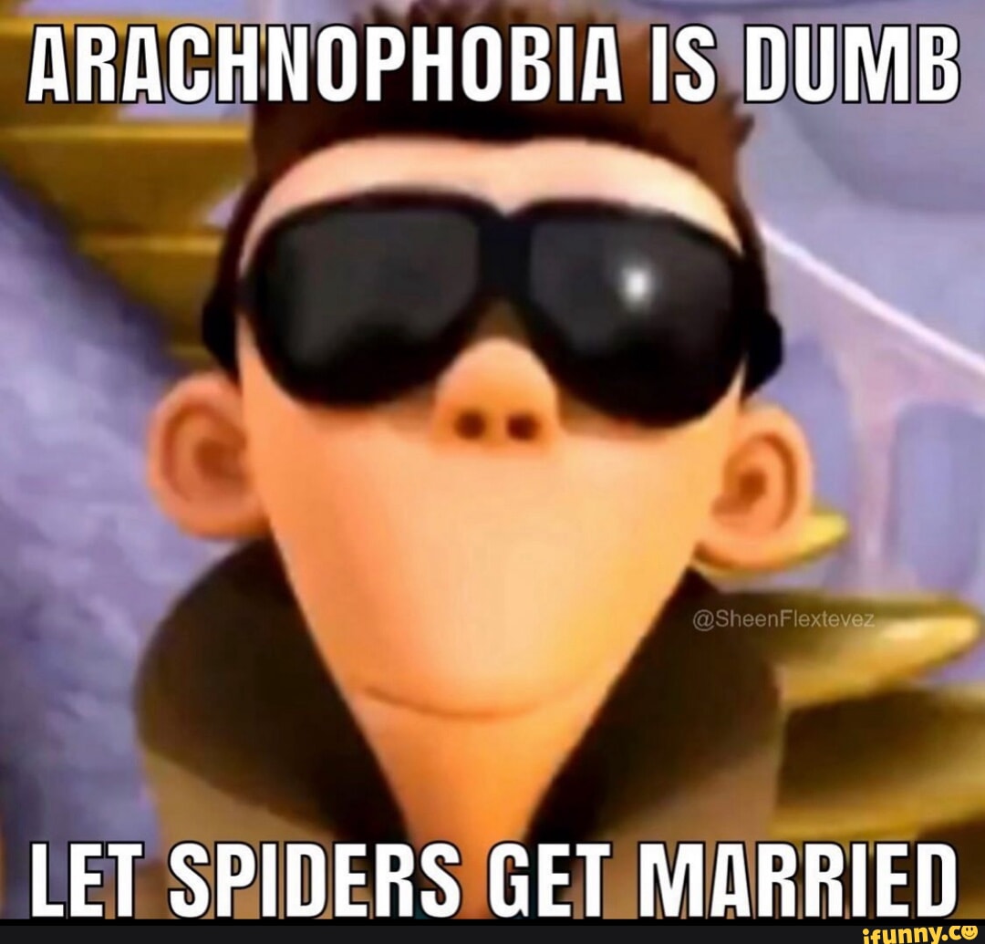 ARACHNOPHOBIA IS DUMB LET SPIDERS GET MARRIED - iFunny