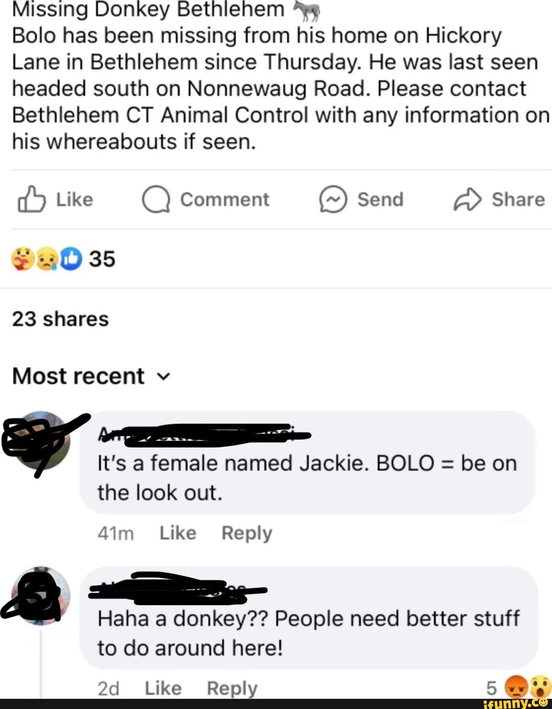 Lost donkey - Missing Donkey Bethlehem Bolo has been missing from his ...