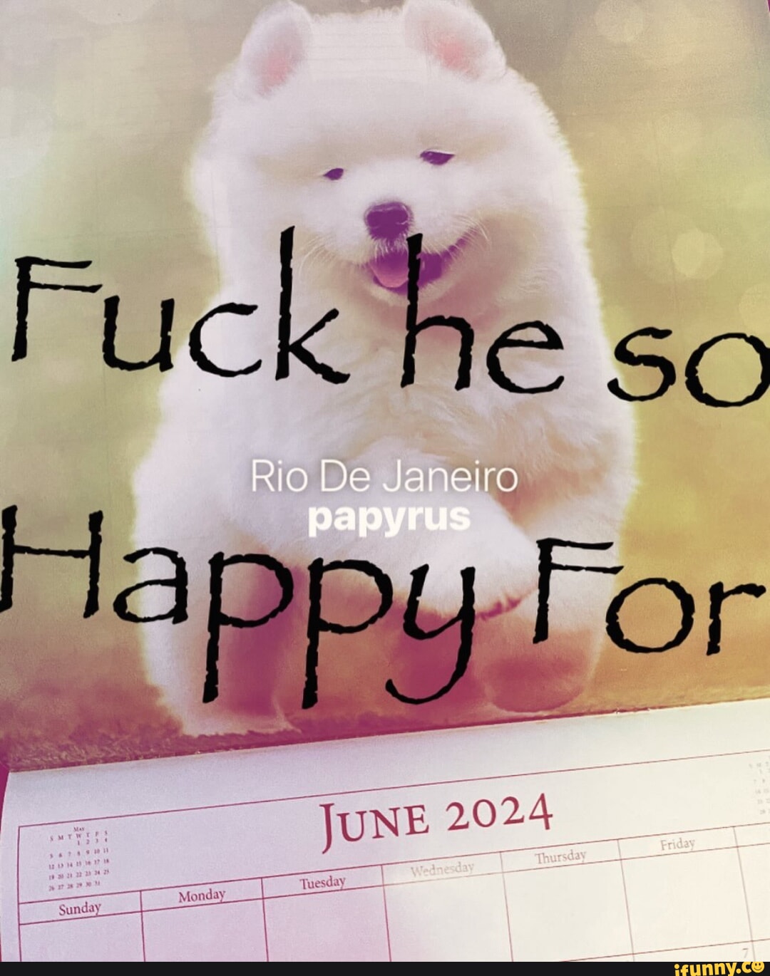 Rio he SO Rio De Janei papyrus For - iFunny