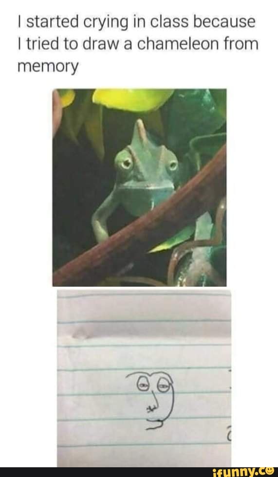 I started crying in class because I tried to draw a chameleon from ...