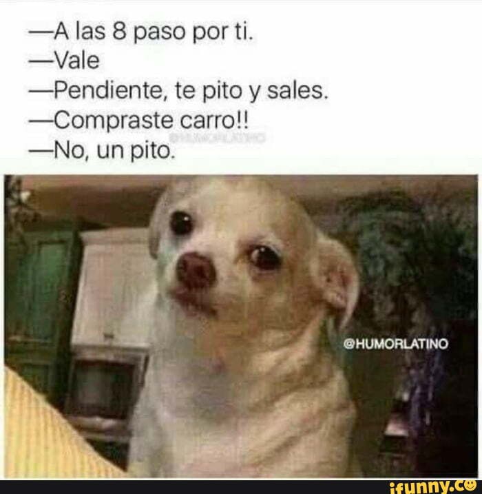 Pendiente memes. Best Collection of funny Pendiente pictures on iFunny