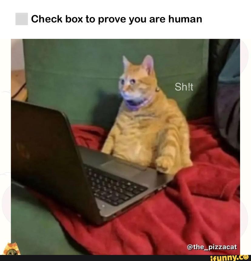 FBI has entered the network - Check box to prove you are human Shit ...