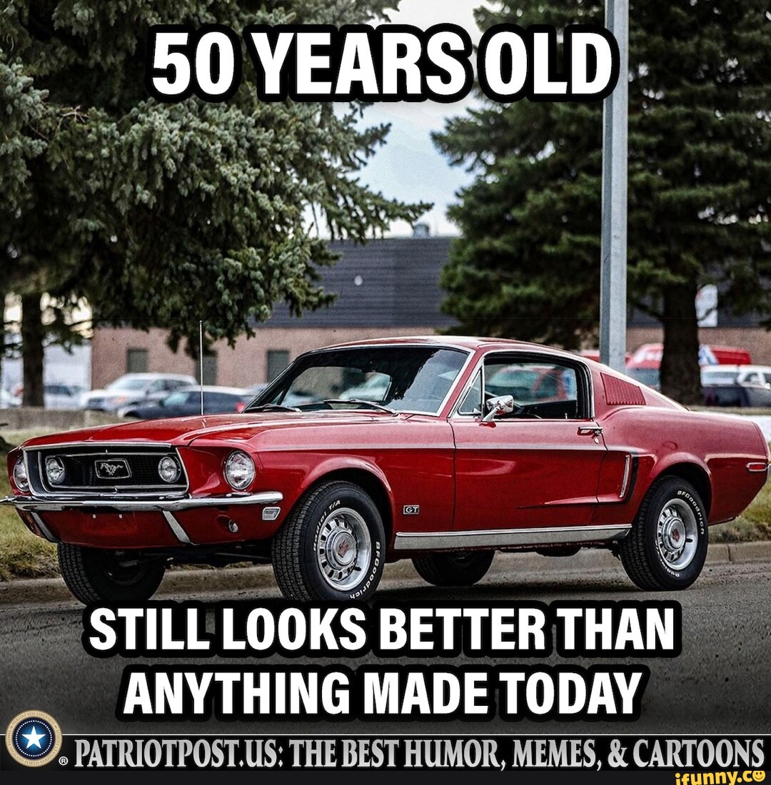 Mustang Car Meme