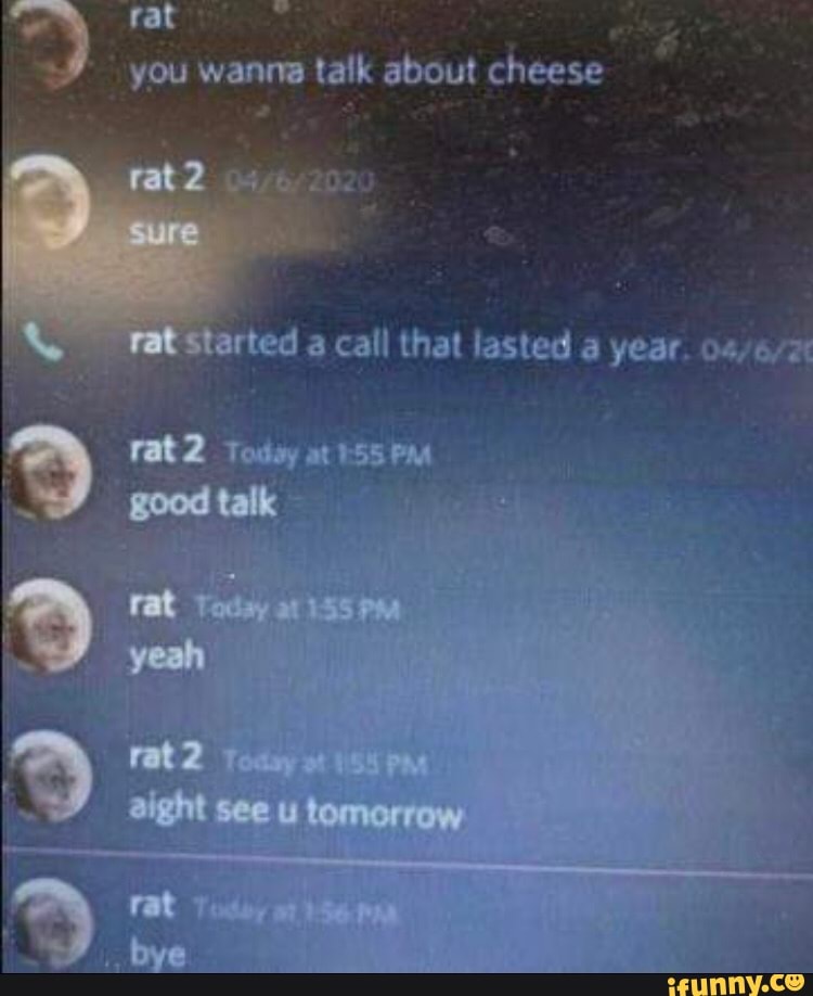 Rat you wanne talk about cheese - iFunny