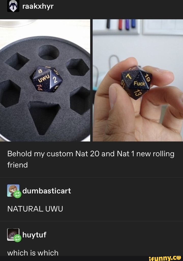 Raakxhyr Behold my custom Nat 20 and Nat 1 new rolling friend ...