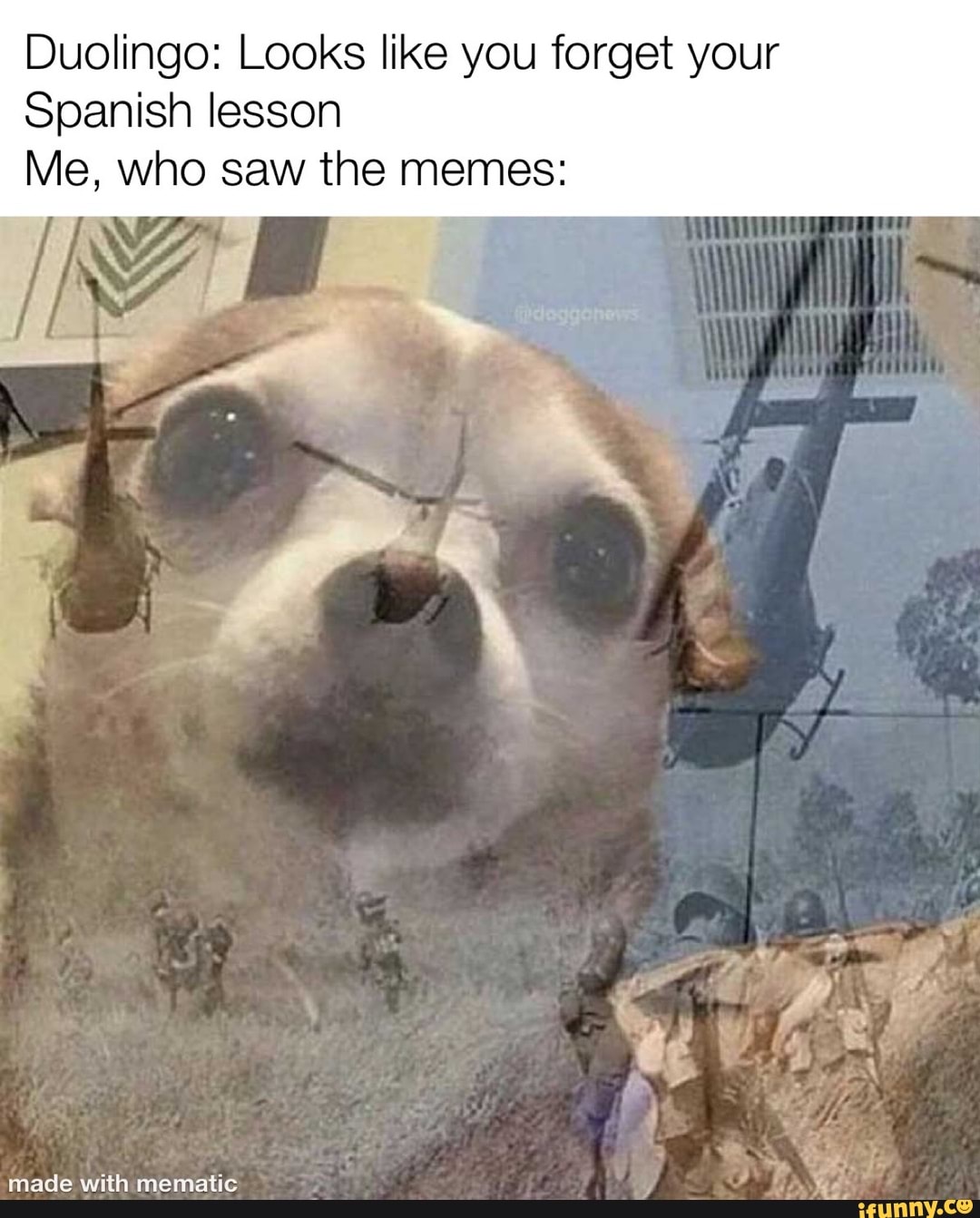 Duolingo: Looks like you forget your Spanish lesson Me, who saw the ...