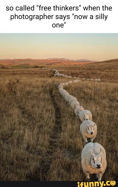 So called "free thinkers" when the photographer says "now a silly one ...