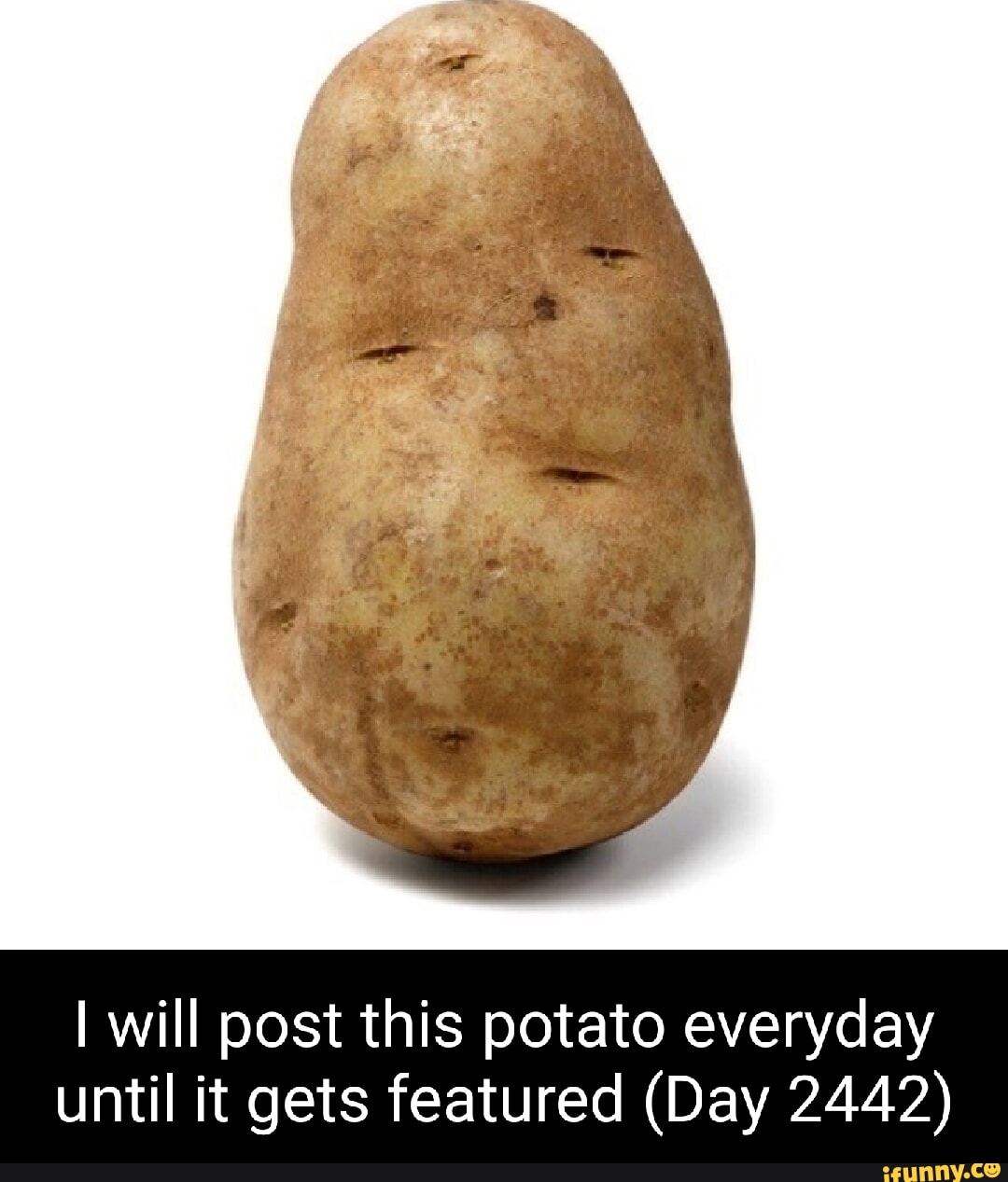 I I will post this potato everyday until it gets featured (Day 2442 ...