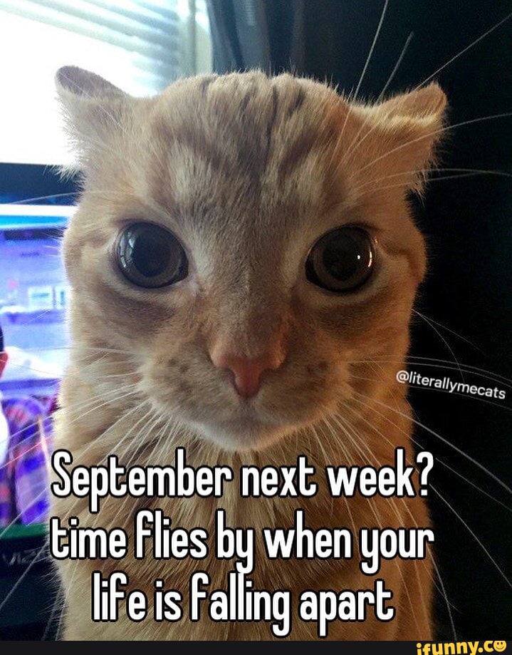 @liter; ts September next week? time Flies by when your liFeis Fling ...