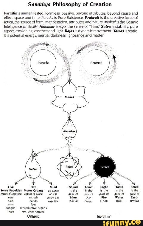 Unmanifested memes. Best Collection of funny Unmanifested pictures on ...