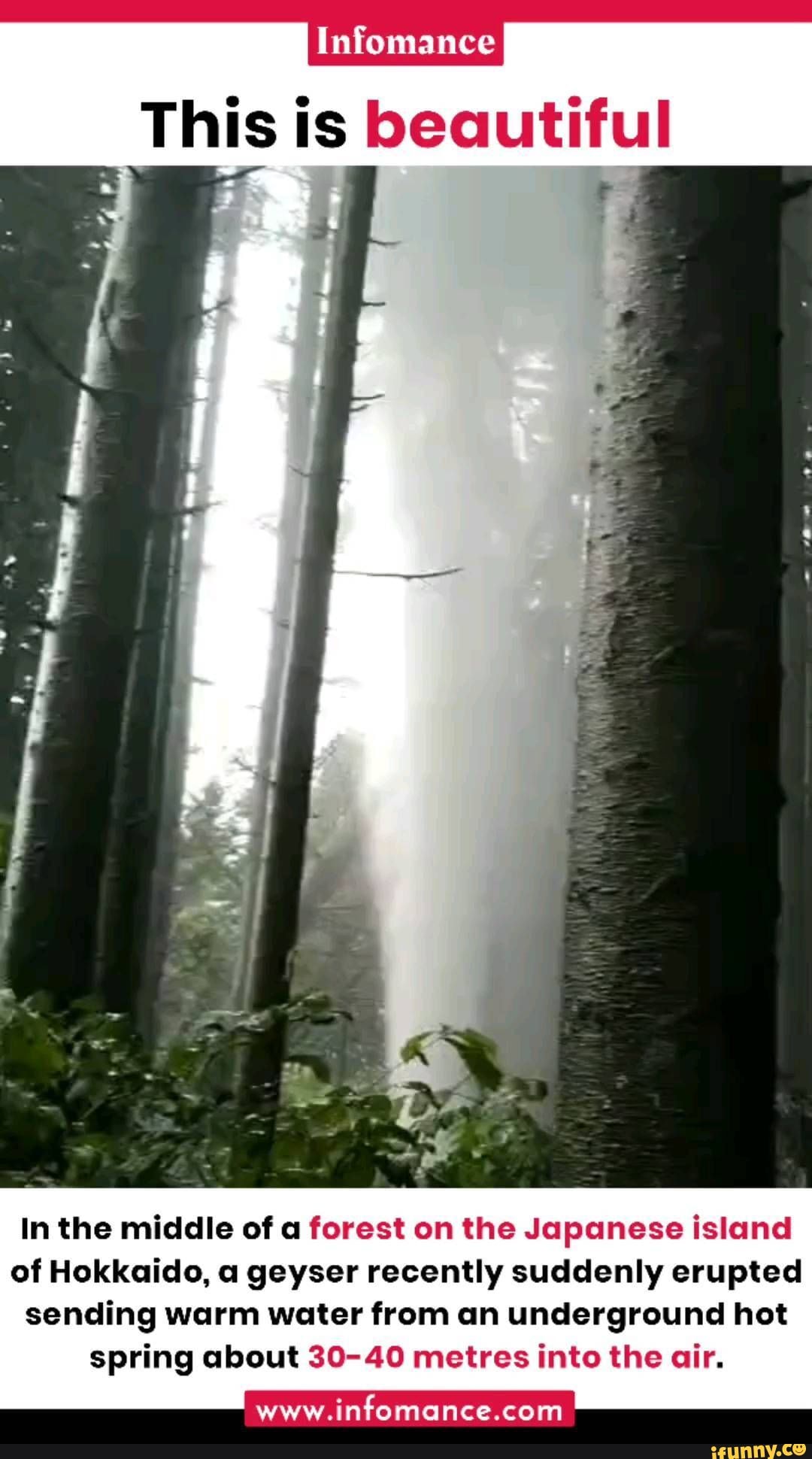 Massive Geyser Erupted - Infomance This is beautiful In the middle of a ...