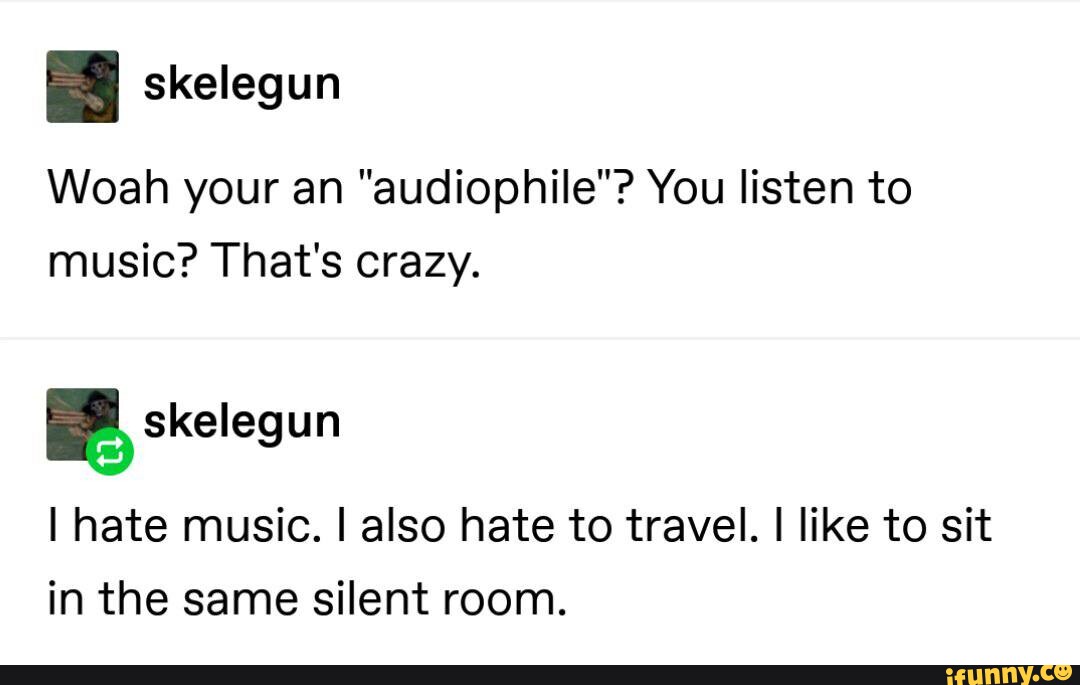 Woah your an "audiophile"? You listen to music? That's crazy. I hate ...
