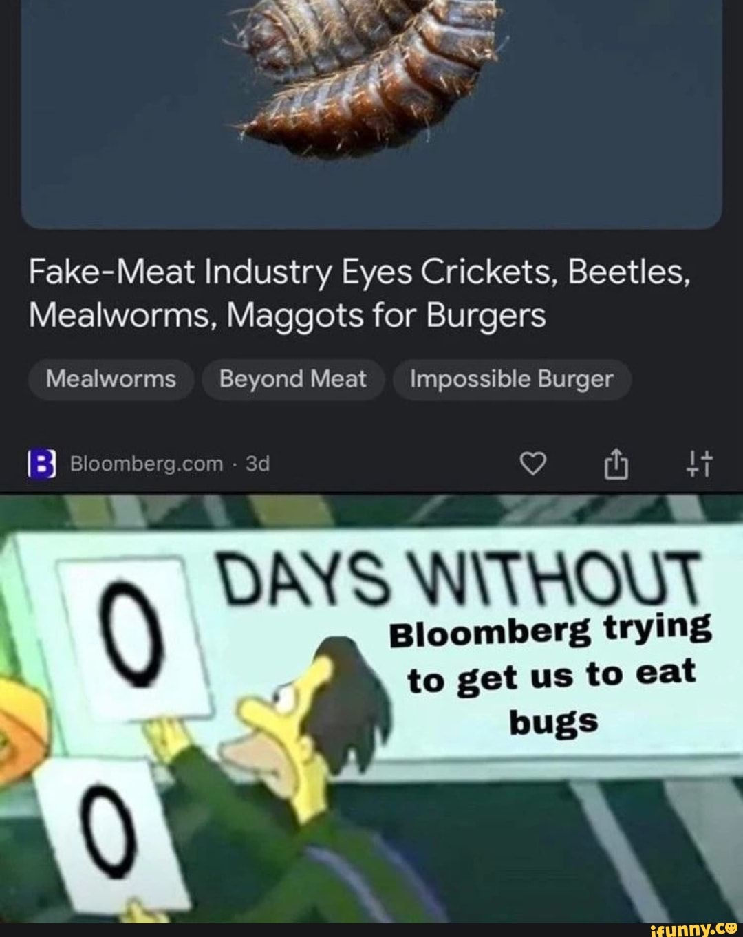 Fake-Meat Industry Eyes Crickets, Beetles, Mealworms, Maggots for ...