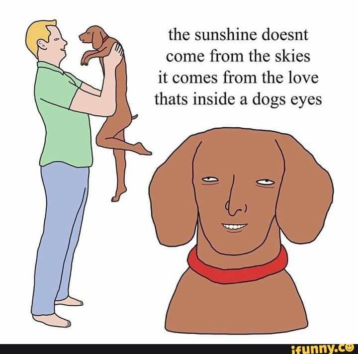 Sunshine memes. Best Collection of funny Sunshine pictures on iFunny