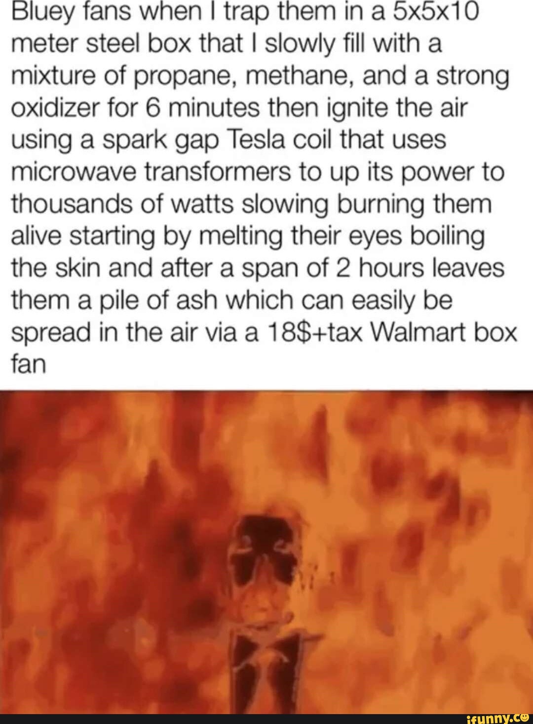 Bluey fans when I trap them in a 5xox10 meter steel box that I slowly ...