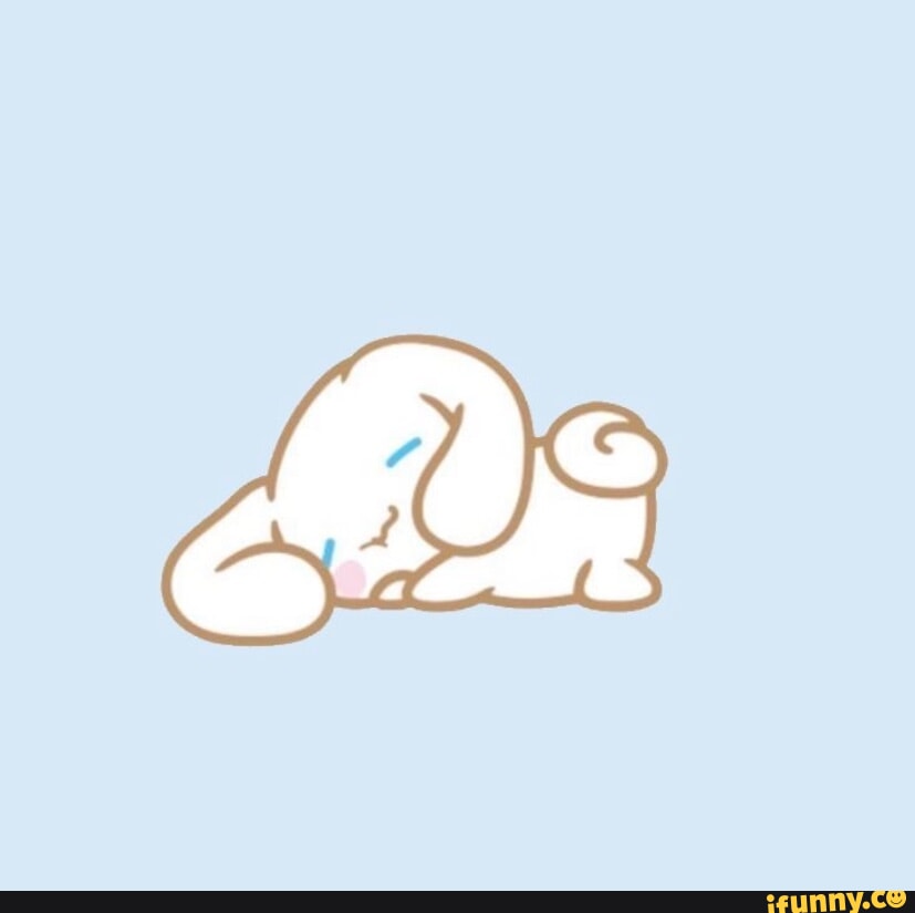 Cinnamoroll memes. Best Collection of funny Cinnamoroll pictures on iFunny