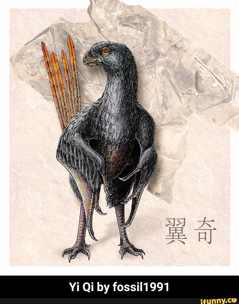 Yi Qi by fossil1991 - Yi Qi by fossil1991 - )