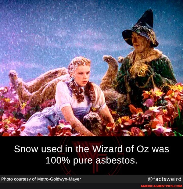 N/A - Snow used in the Wizard of Oz was 100% pure asbestos. Photo ...