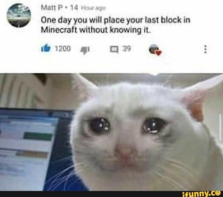 One day you will place your last block in Minecraft without knowing IL ...