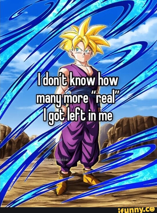 Gat memes. Best Collection of funny Gat pictures on iFunny