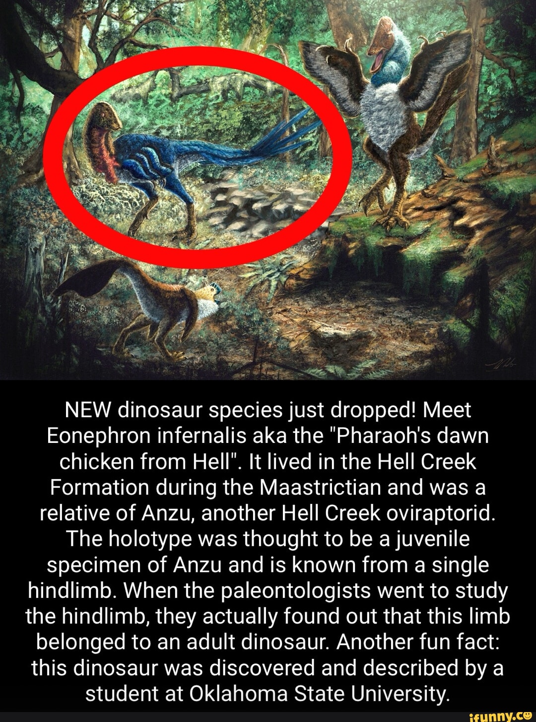NEW dinosaur species just dropped! Meet Eonephron infernalis aka the ...