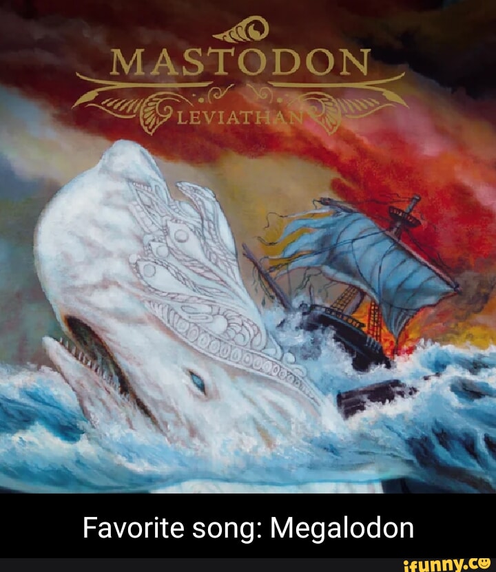 Megalodon memes. Best Collection of funny Megalodon pictures on iFunny