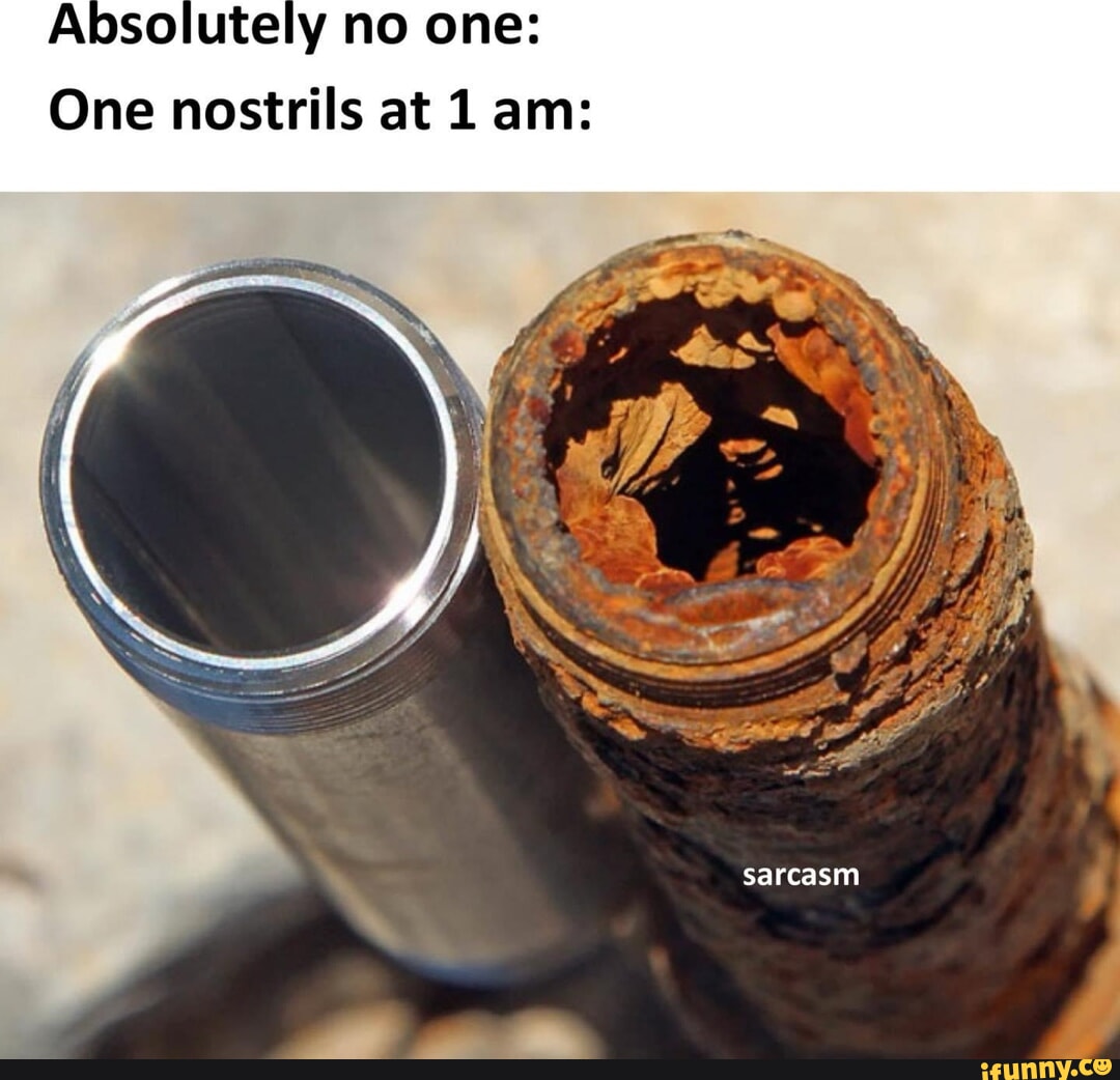 Absolutely no one: One nostrils at 1 am: sarcasm - iFunny