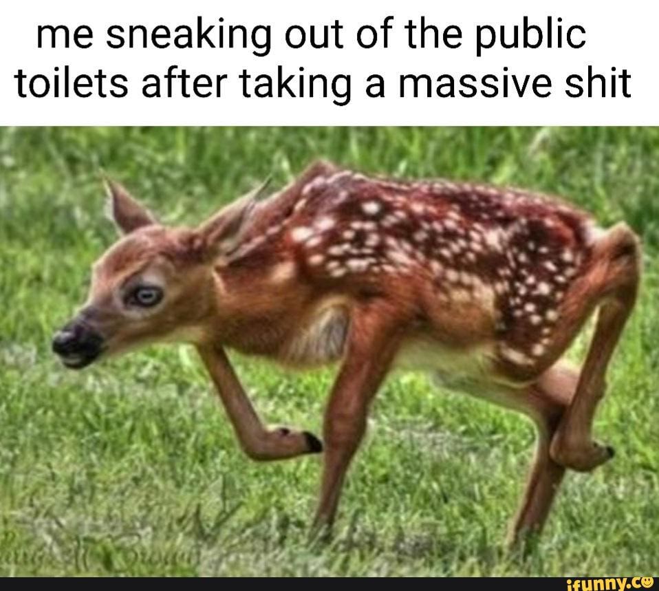 Me sneaking out of the public toilets after taking a massive shit af ...