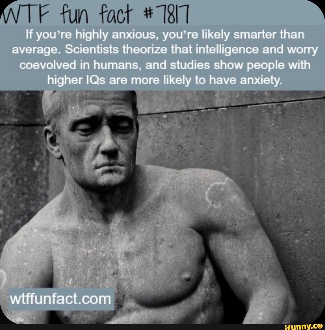 Ntp memes. Best Collection of funny Ntp pictures on iFunny