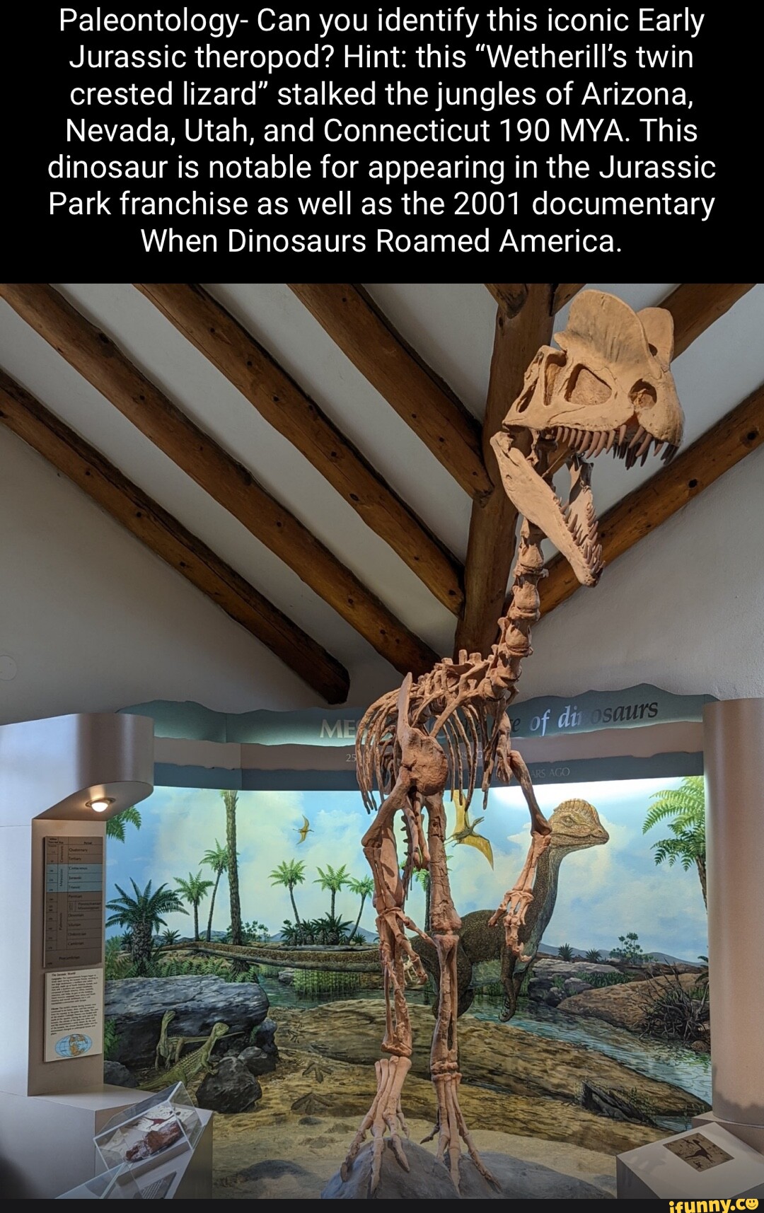 Paleontology- Can you identify this iconic Early Jurassic theropod ...