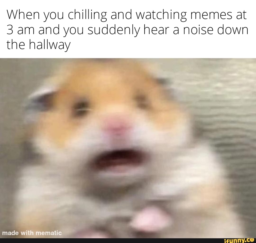 When you chilling and watching memes at 3 am and you suddenly hear a ...