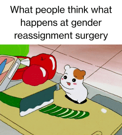 What people think what happens at gender reassignment surgery - iFunny