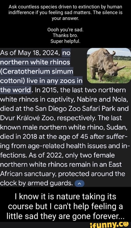 Indifference memes. Best Collection of funny Indifference pictures on ...