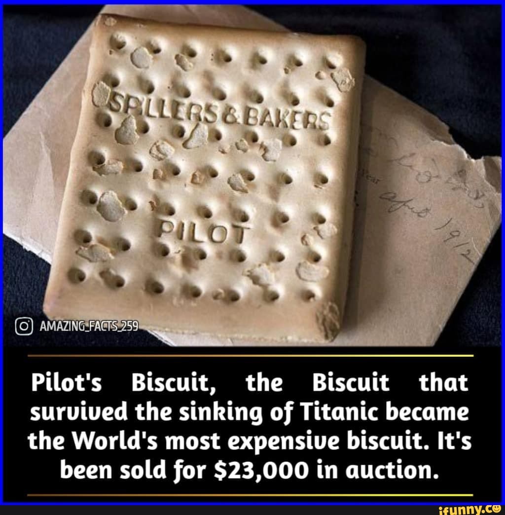 Pilot's Biscuit, the Biscuit that suruived the sinking of Titanic ...