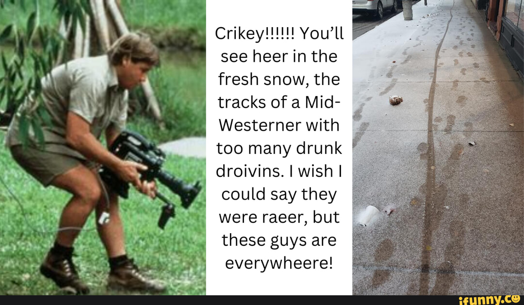 Crikey memes. Best Collection of funny Crikey pictures on iFunny