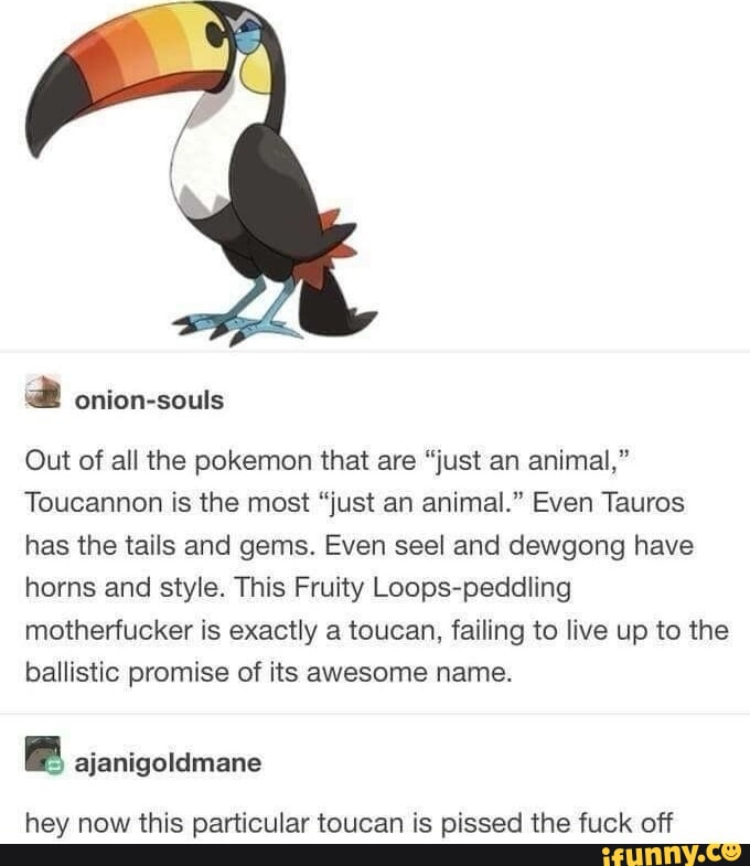 Toucan memes. Best Collection of funny Toucan pictures on iFunny