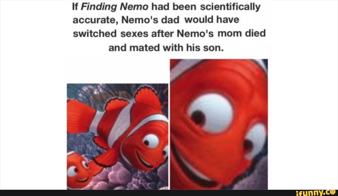 If Finding Nemo had been scientifically accurate, Nemo's dad would have ...