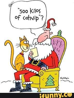 "500 Kilos of catnip'? - iFunny