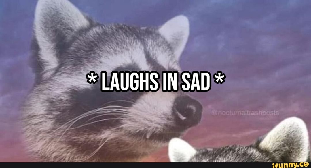 AN * LAUGHS IN SAD * - iFunny