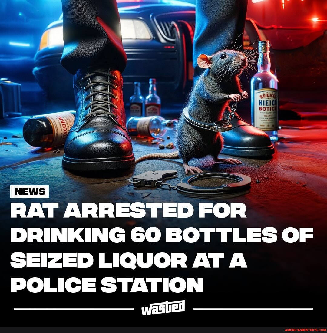 A rodent in Madhya Pradesh, India has been 'arrested' for allegedly ...