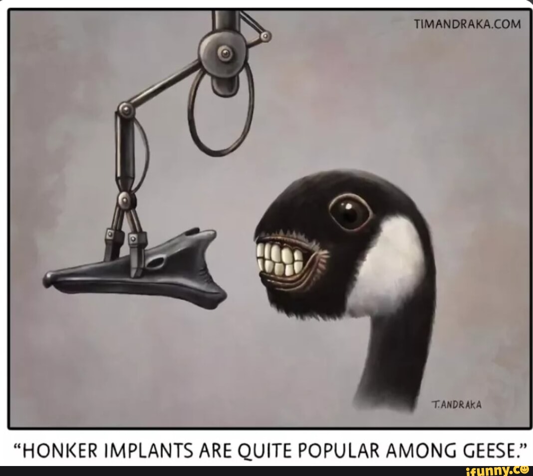 Honker memes. Best Collection of funny Honker pictures on iFunny