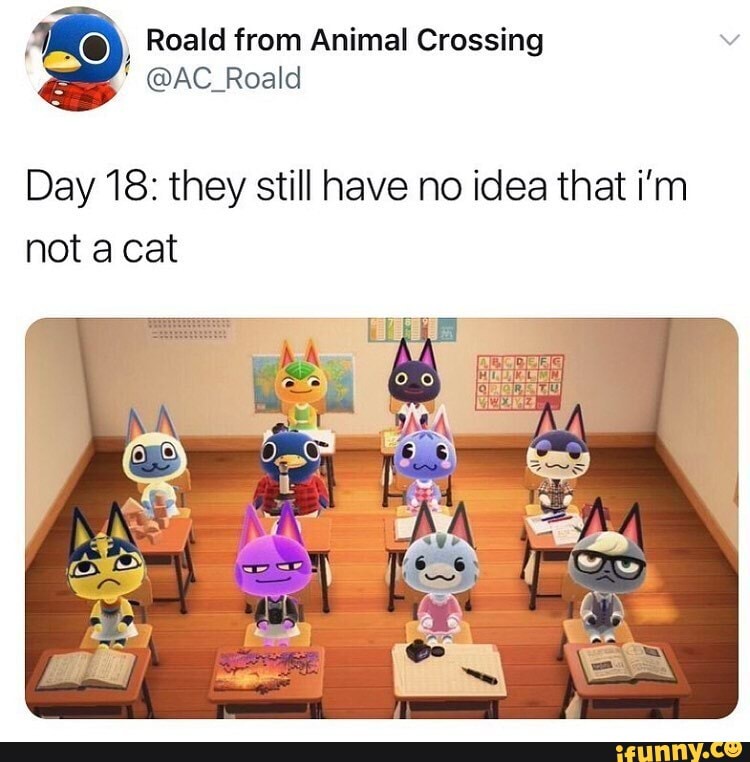 Roald from Animal Crossing @AC _Roald Day 18: they still have no idea ...