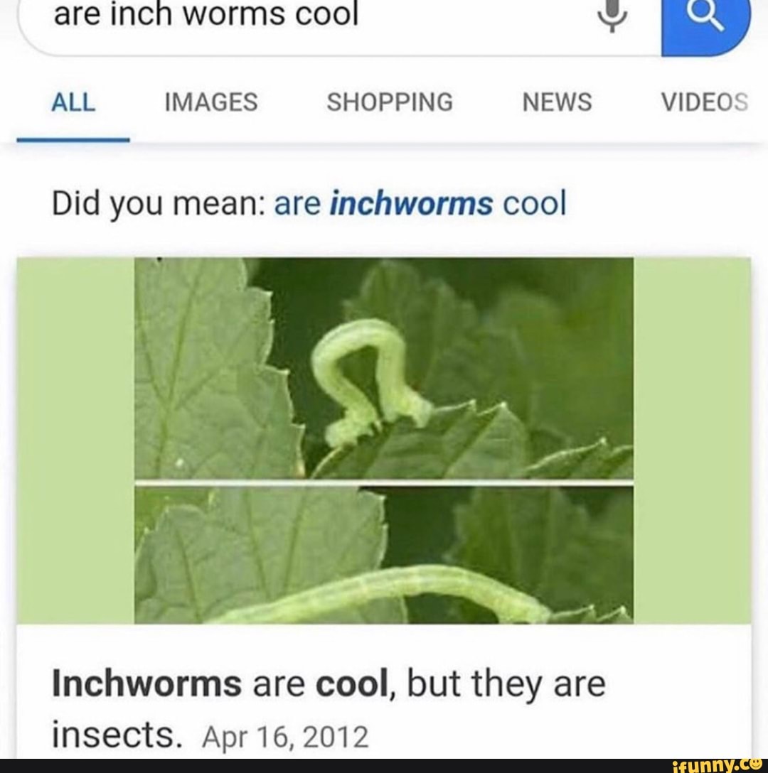 Are inch worms cool Y Ley Did you mean: are inchworms cool Inchworms ...