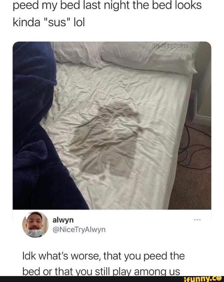 Peed my bed last night the bed looks kinda "sus" lol @NiceTryAlwyn Idk ...