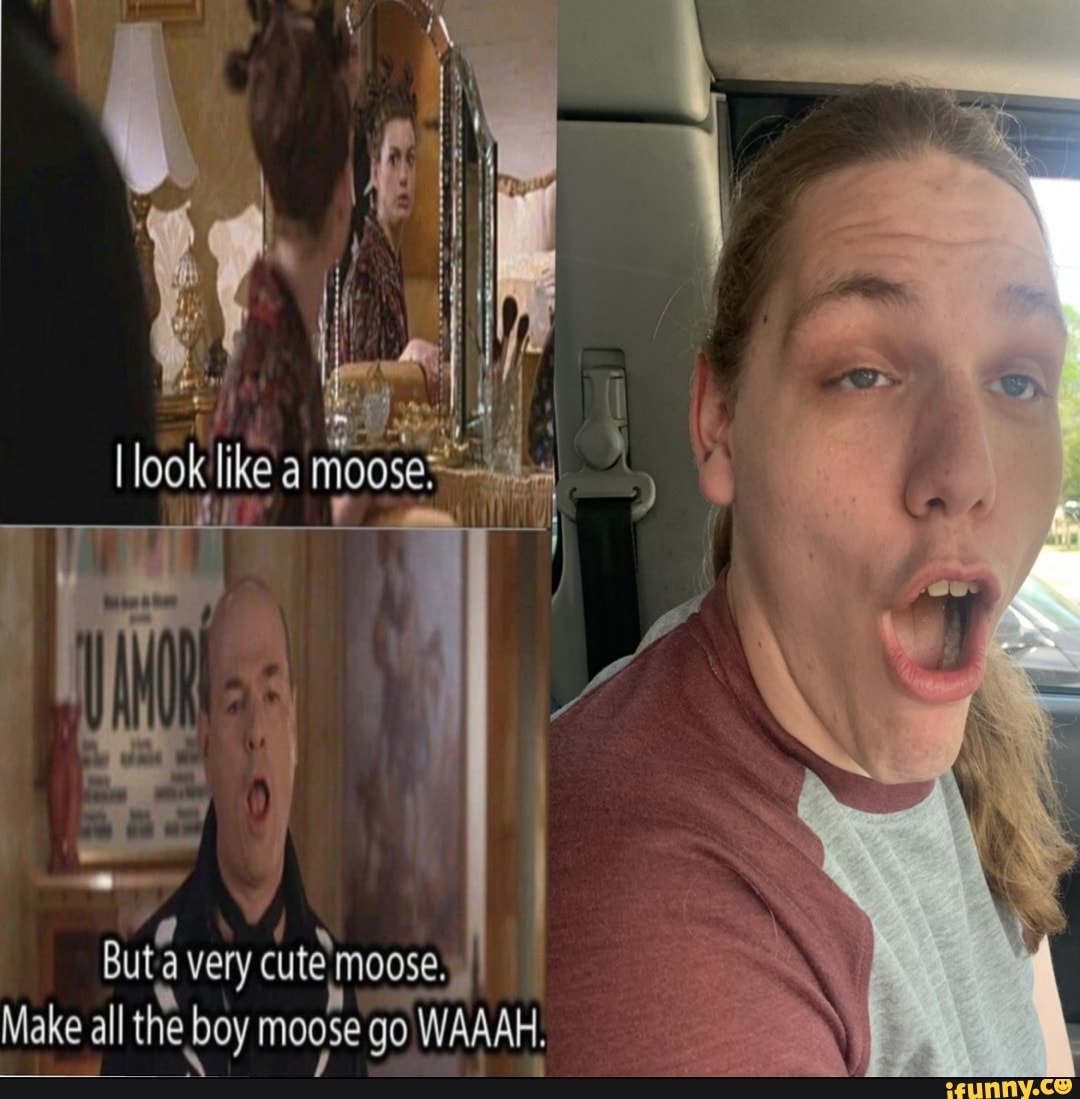 Moose~- moose. y moose I look likea But very cute go WAAA the bo Make ...