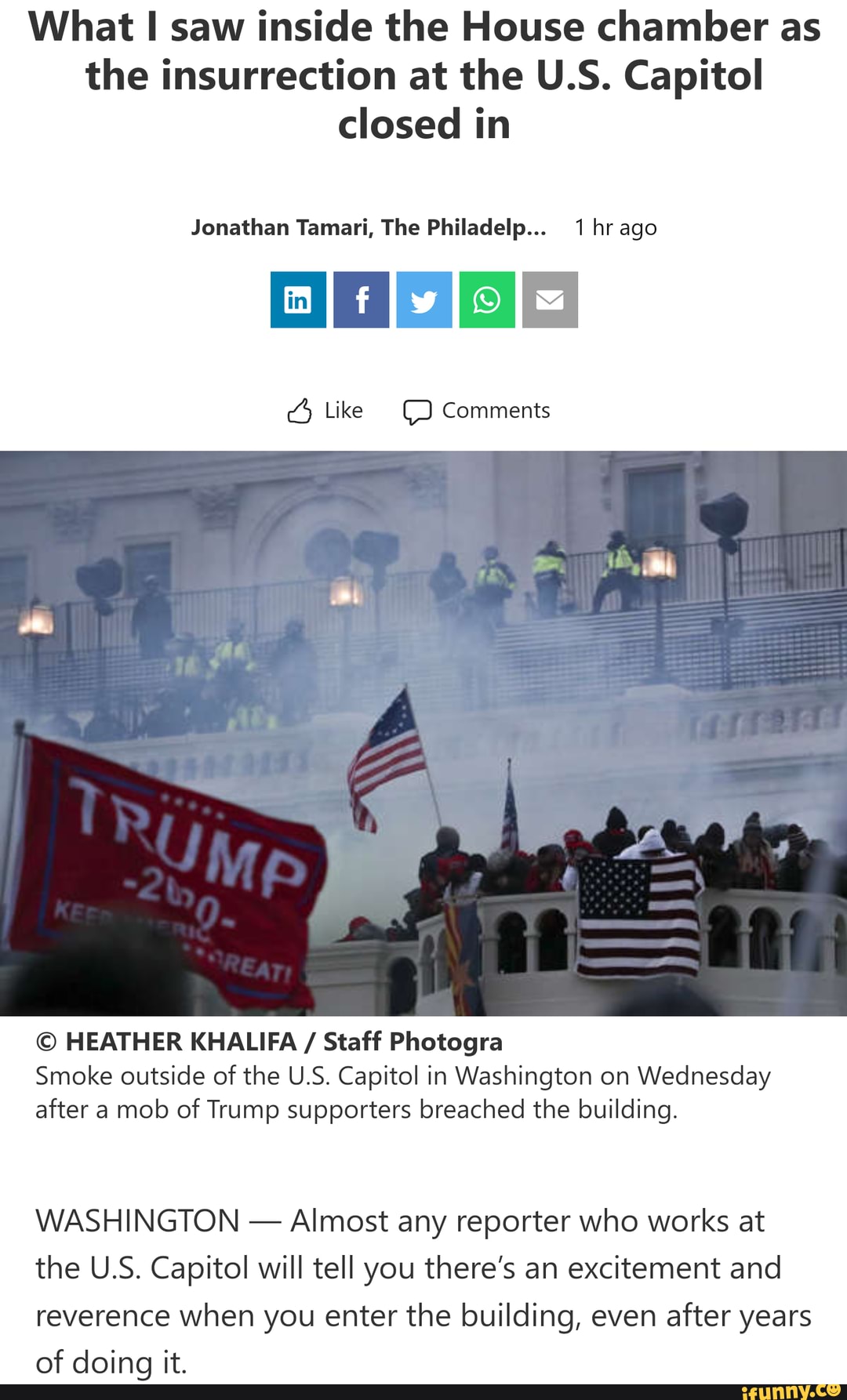 Tamari memes. Best Collection of funny Tamari pictures on iFunny