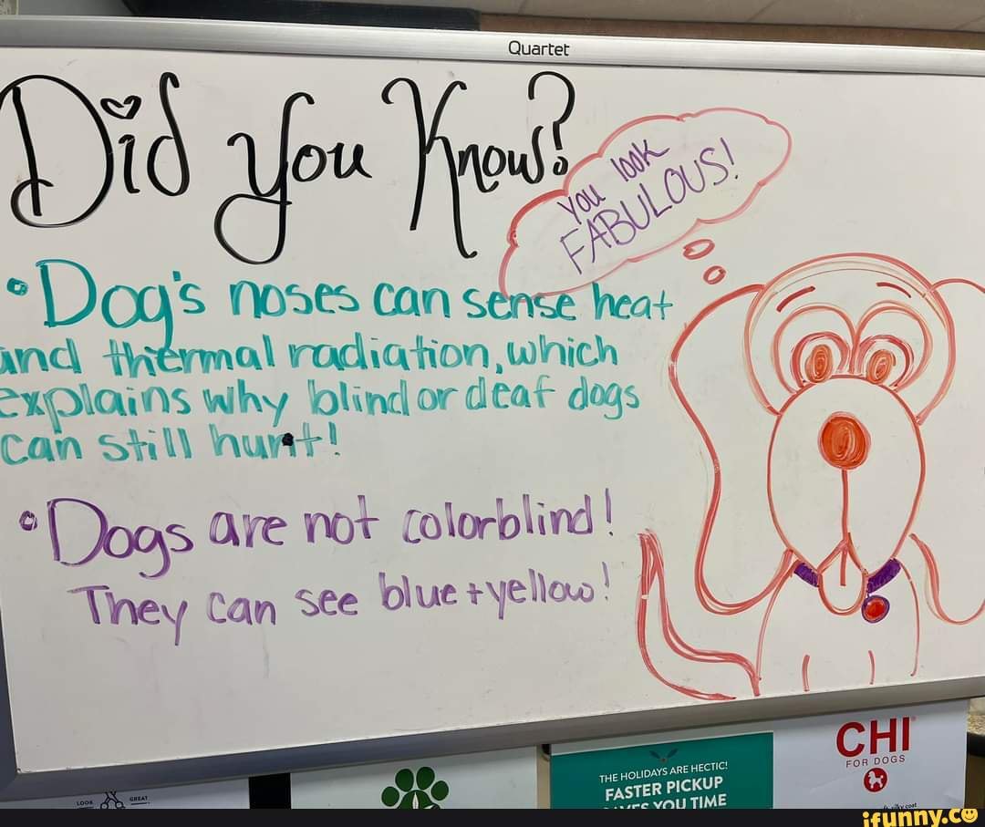 Colorblind memes. Best Collection of funny Colorblind pictures on iFunny